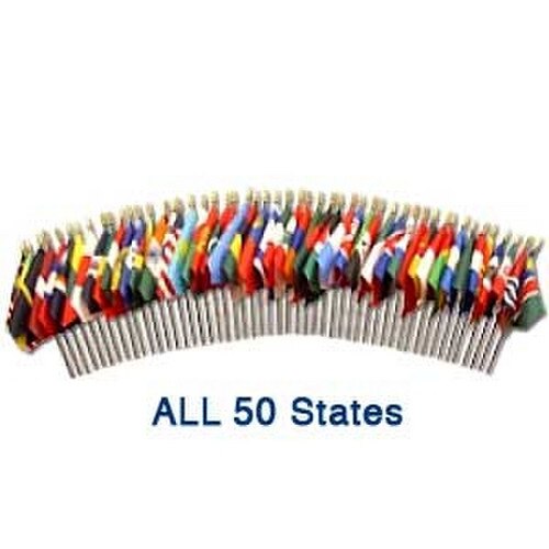 Mini U.S. State Flags Set | Freedom and Glory