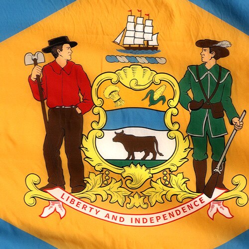 Buy Outdoor Delaware State Flag | Made in the U.S.A | Freedom and Glory